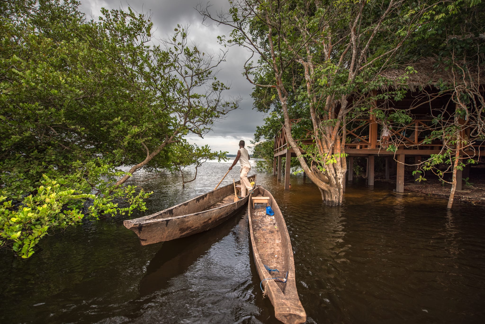 Bas Ogooué Biodiversity - OELO Gabon